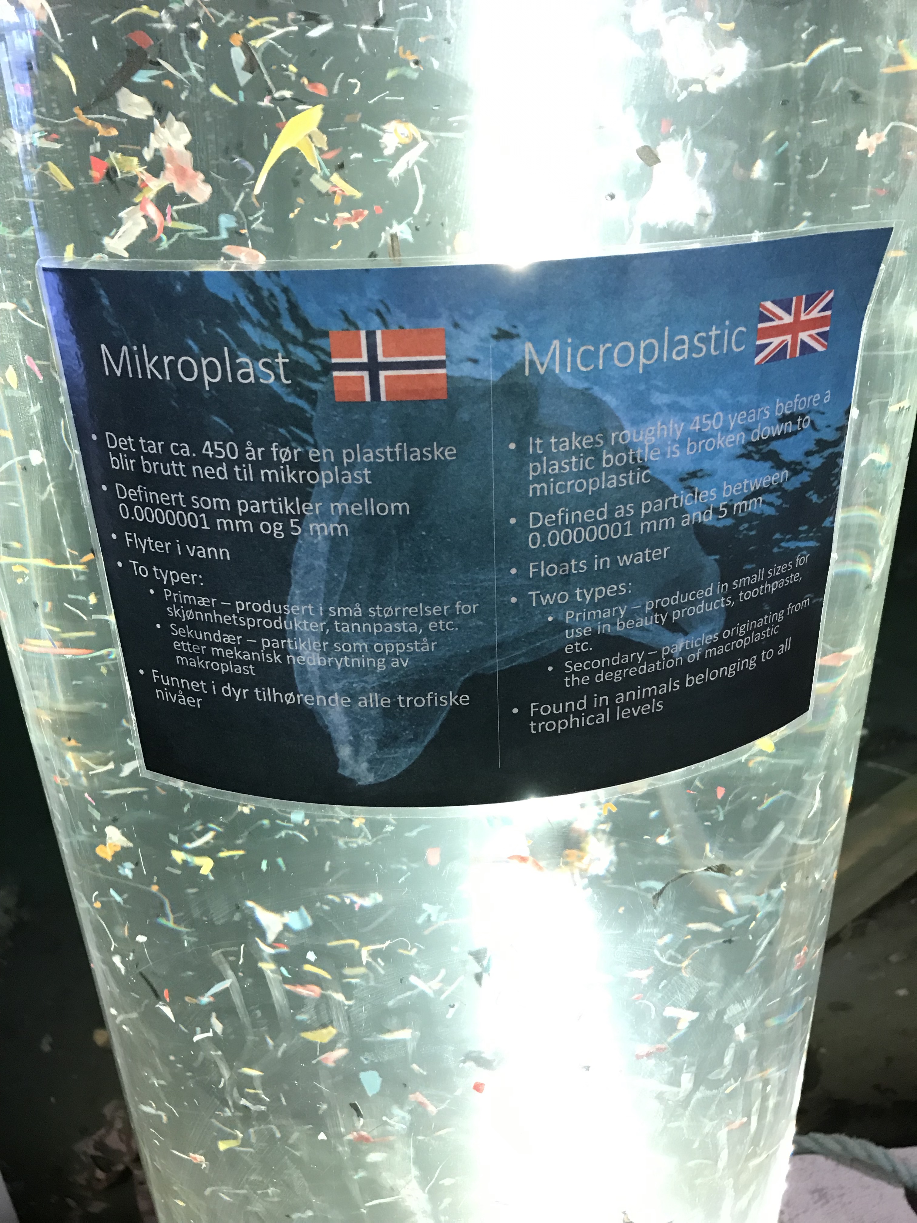 Plastic Waste in the Arctic: Northern Threat, Global Solutions? – Over ...